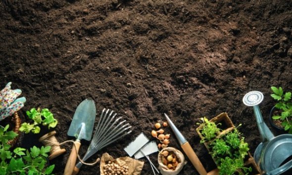 ᐅ Beet am Hang richtig anlegen - Tipps zu Planung und Pflanzung