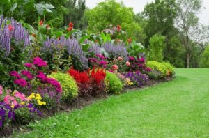 ᐅ Rabatten pflegen - so wird es richtig gemacht