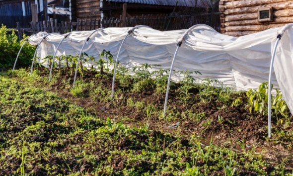 ᐅ Beet am Hang richtig anlegen - Tipps zu Planung und Pflanzung