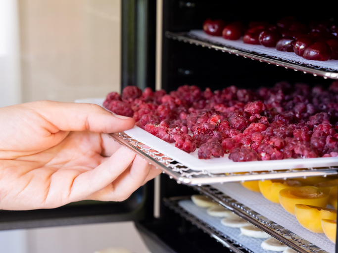 Himbeeren Haltbar Machen